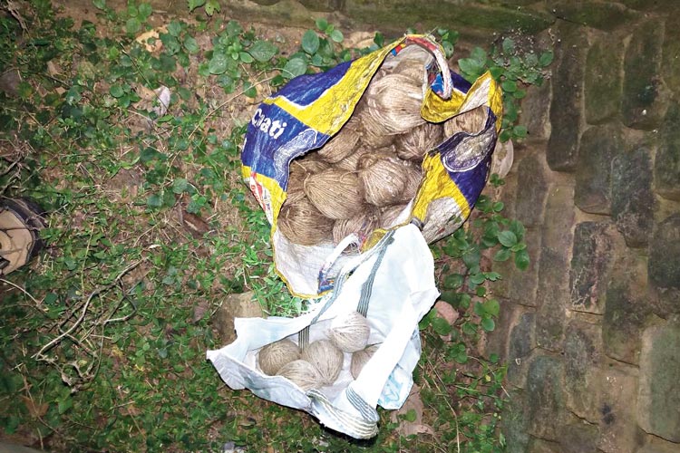 West Bengal News: Use of Bihari Guns increased, instead of bombs among ...