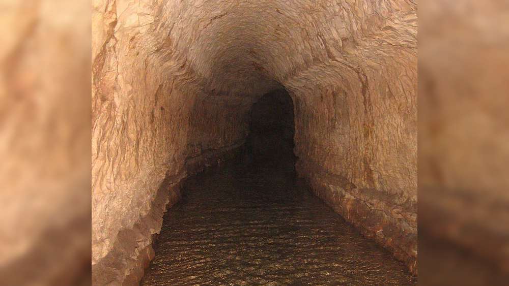 Sloth | Brazil Is Home to Prehistoric Underground Tunnels Created by ...