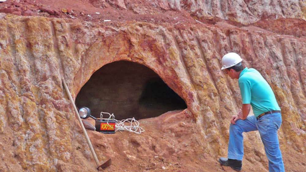 Sloth | Brazil Is Home to Prehistoric Underground Tunnels Created by ...