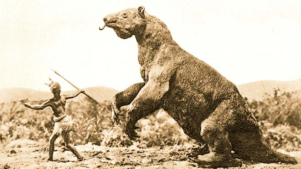 Sloth | Brazil Is Home to Prehistoric Underground Tunnels Created by ...