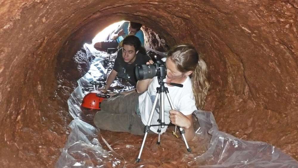 Sloth | Brazil Is Home to Prehistoric Underground Tunnels Created by ...