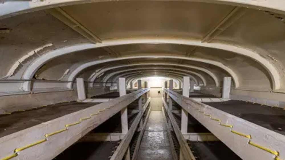 ARK 2: Man builds a nuclear bunker with 42 school buses at Horning ...