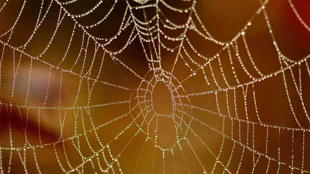 photogallery | The Corpse of Elmer McCurdy has died as a poor man and ...