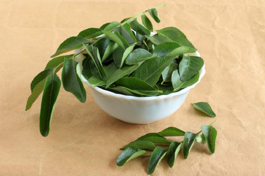 Health Benefits of Curry Leaves | Curry leaves can help to reduce ...
