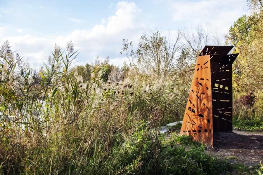 Tiltepec Village in Mexico | Story of Mexican village where every human ...