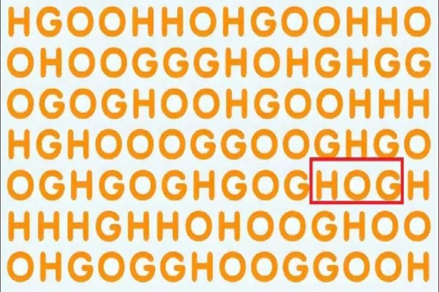 Optical Illusion | Optical Illusion hides the word Hog needs to be ...