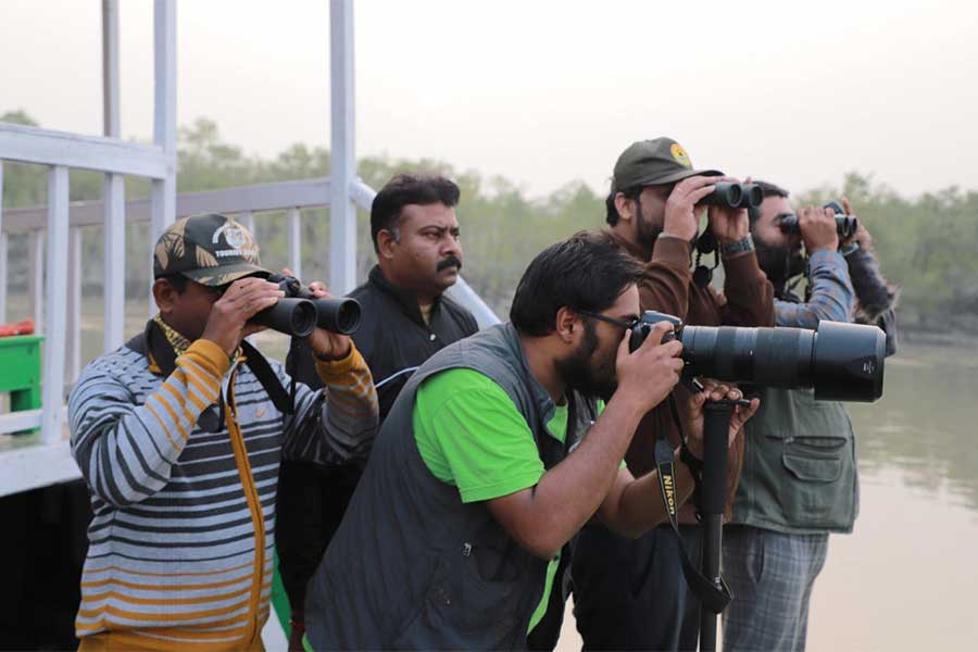 Sundarban Bird Festival | Bird watching festival to start soon in ...