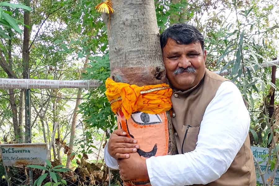 tree | Rajasthan’s Piplantri village plants 111 tree saplings each time ...