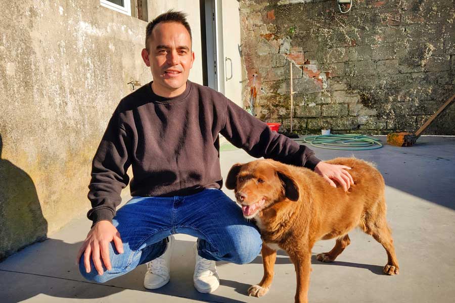 Bobi Death News | Bobi, world's oldest dog ever dies at the age of 31 ...