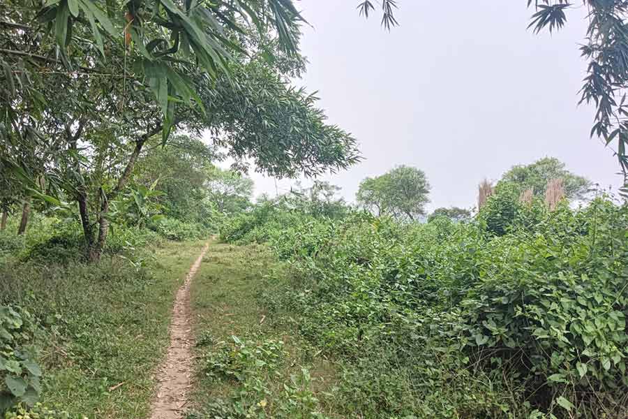 Balagarh Block Administration | Balagarh Block Administration to ...