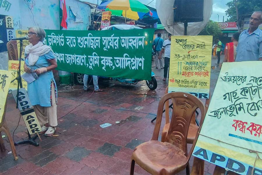 Jessore Road Trees | A meeting was held at Barasat in demand of not ...