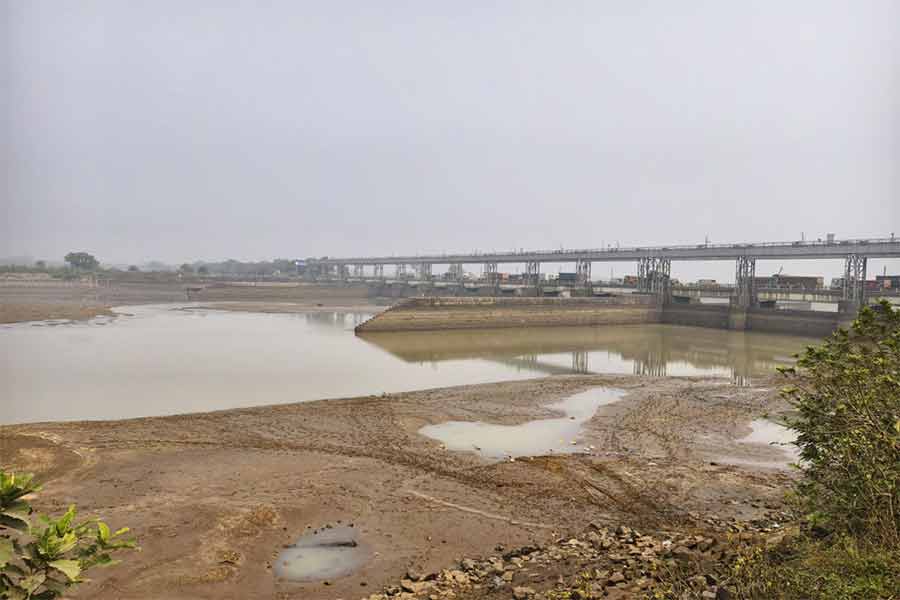 Tilpara Barrage Dry | No Migratory Birds came to Tilpara Barrage of ...