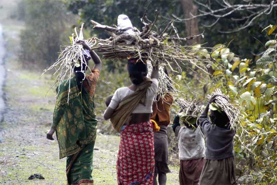 Book Review | Review of a Book authored by Nitya Rao about the struggle ...