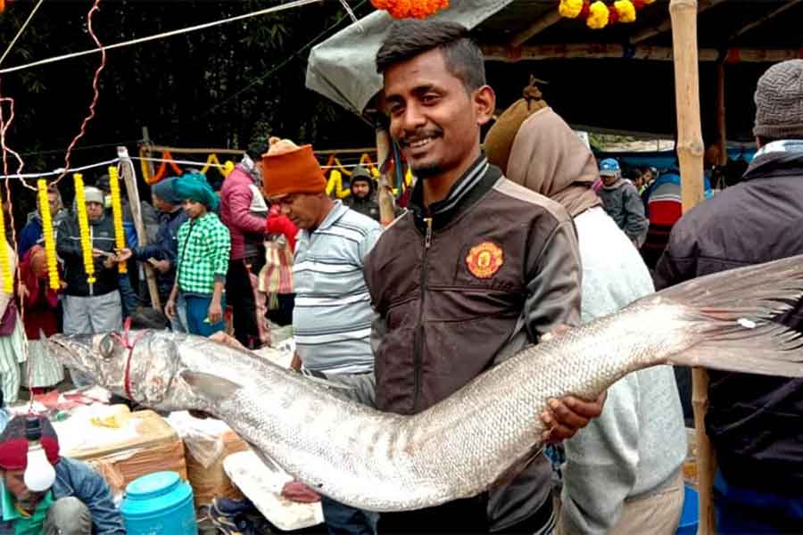 Fish Fair | Fish Fair at Debanandapur of hoogly losing crowd due to ...
