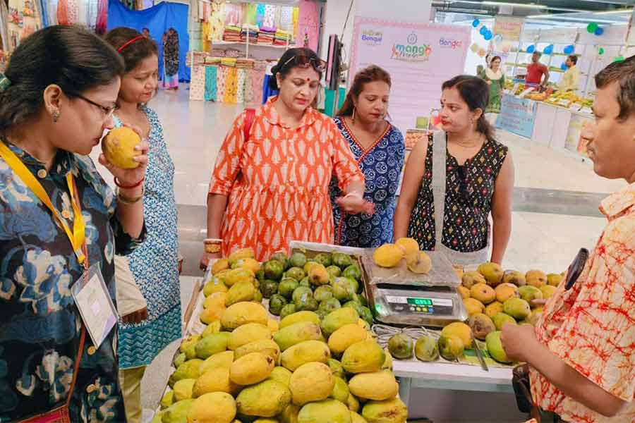 Himsagar Mangoes | Balagarh famous Himsagar mangoes won hearts at Delhi ...
