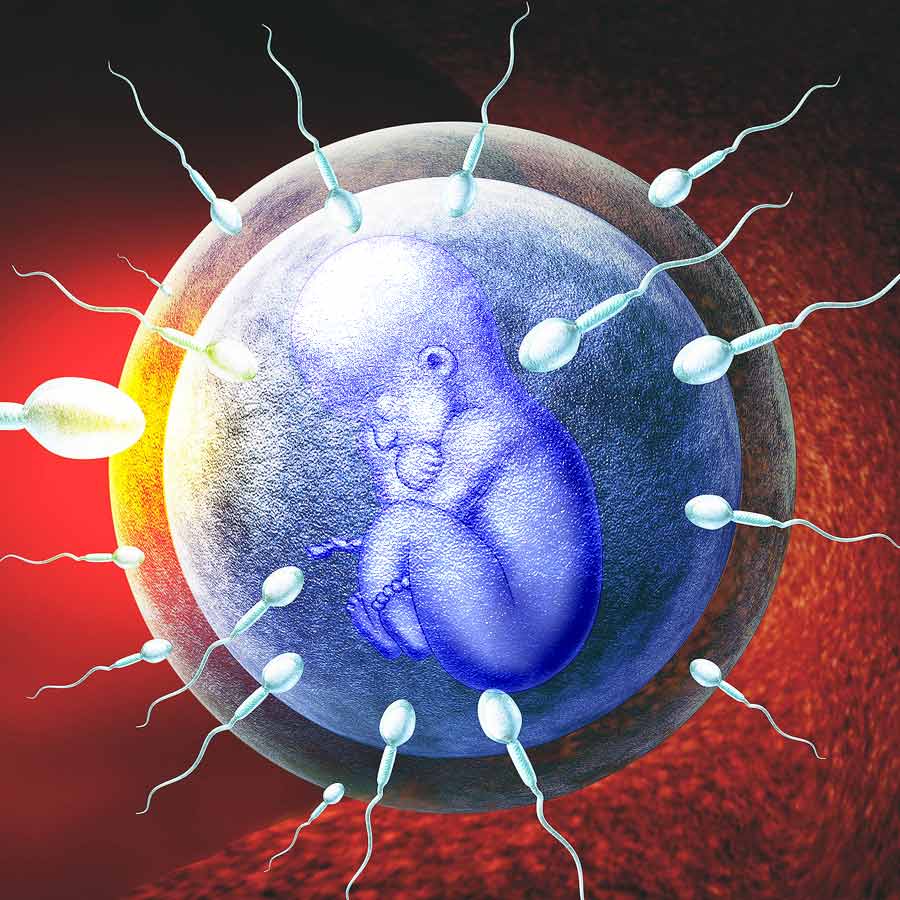 Microplastic in reproductive fluids | Tiny Microplastics found in Human egg and sperms ...