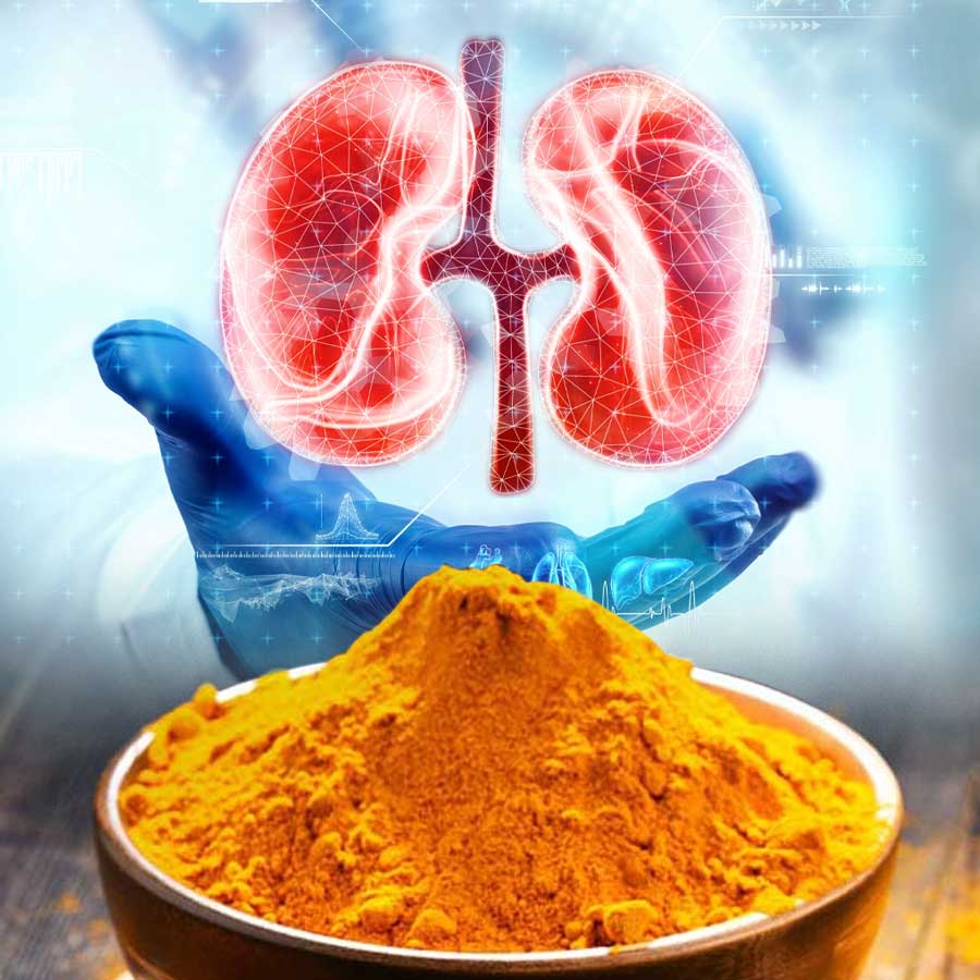 Turmeric Effects On Kidney | Turmeric is only good for health or it has some bad effects dgtl ...