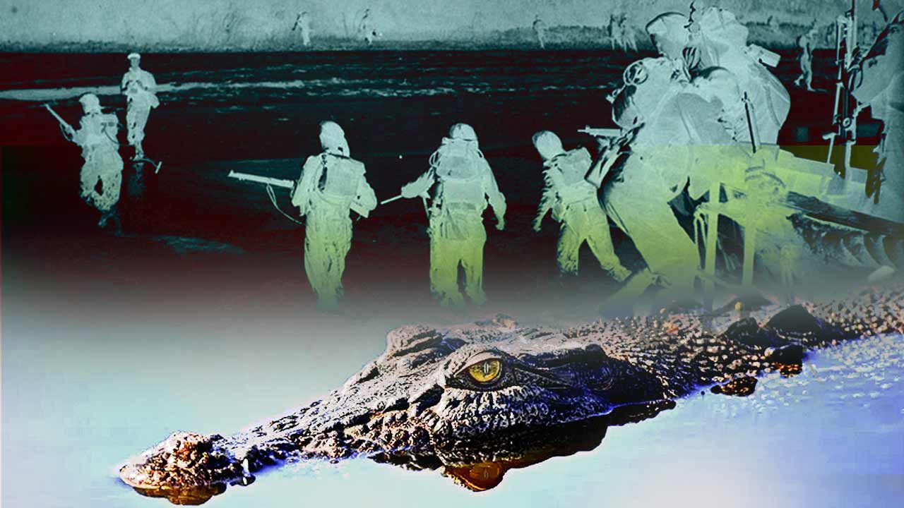 WWII’s Crocodile Massacre | All you need to know about the battle of ...