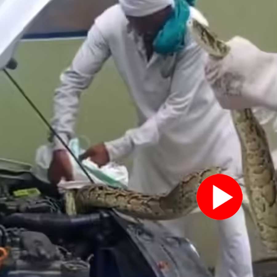 Uttar Pradesh | A video of long python rescued from a car engine went ...