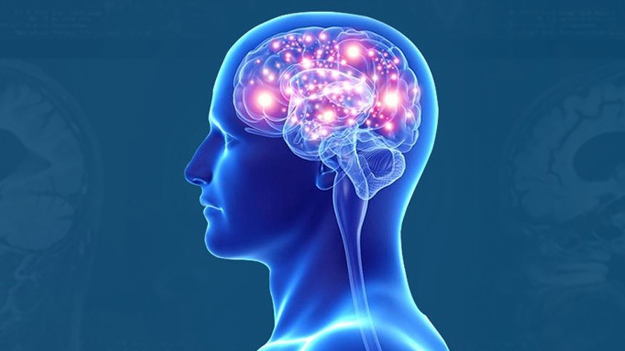 Brain | The brain starts making decision before a person actually ...