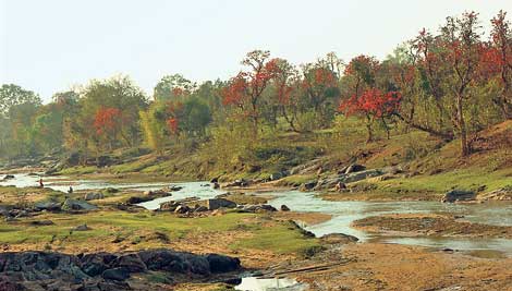 Next weekend you can be at ... Palash Parban - Telegraph India
