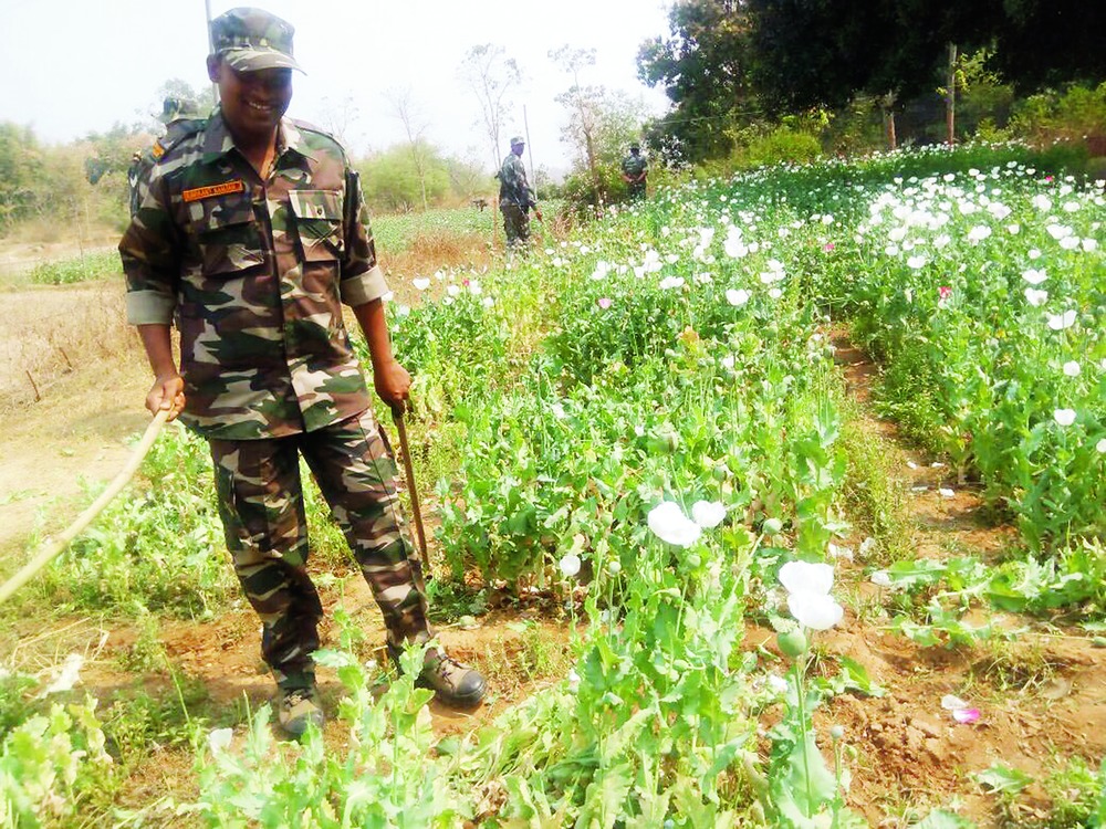 Poppy spies help cops reclaim Khunti acres - Telegraph India