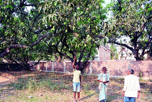 Famous pulp may soon become fiction - Telegraph India