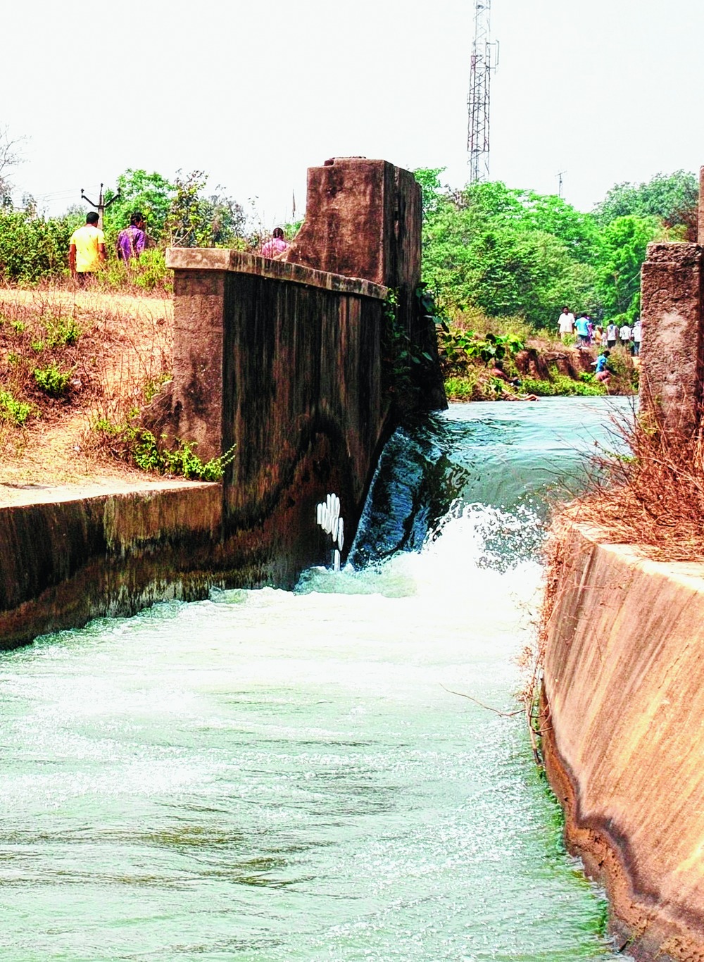 Water cap in Bokaro - Telegraph India