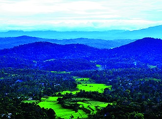 Drink life to the lees - Telegraph India