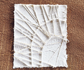 Timeout 11-12-2008 - Telegraph India