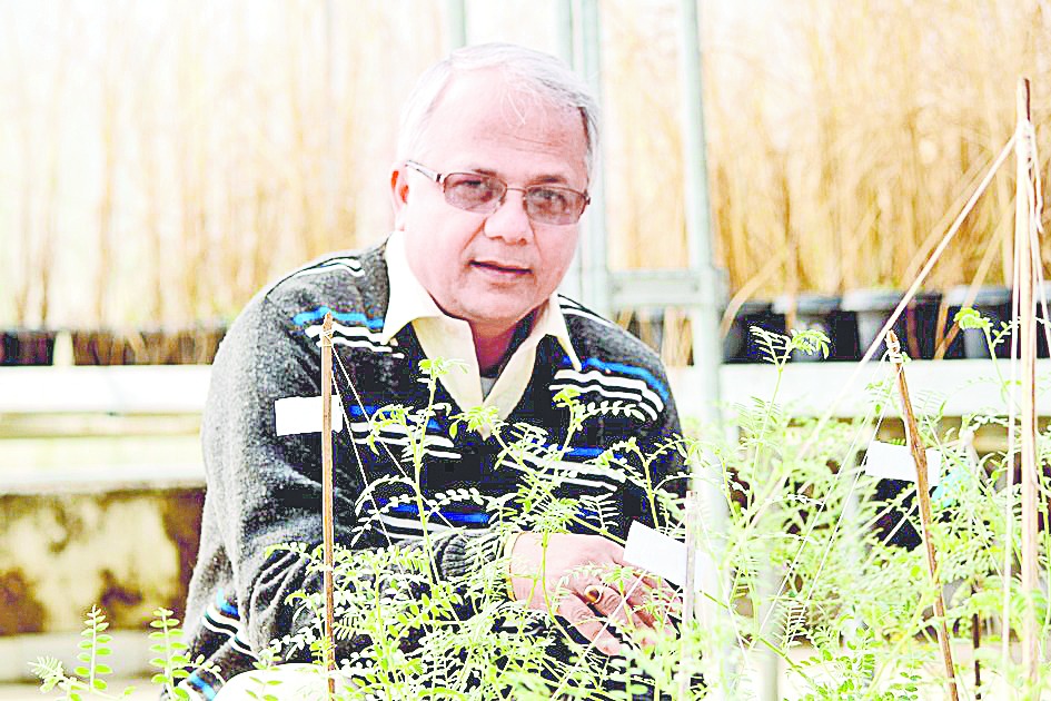Honour for AAU scientist - Telegraph India