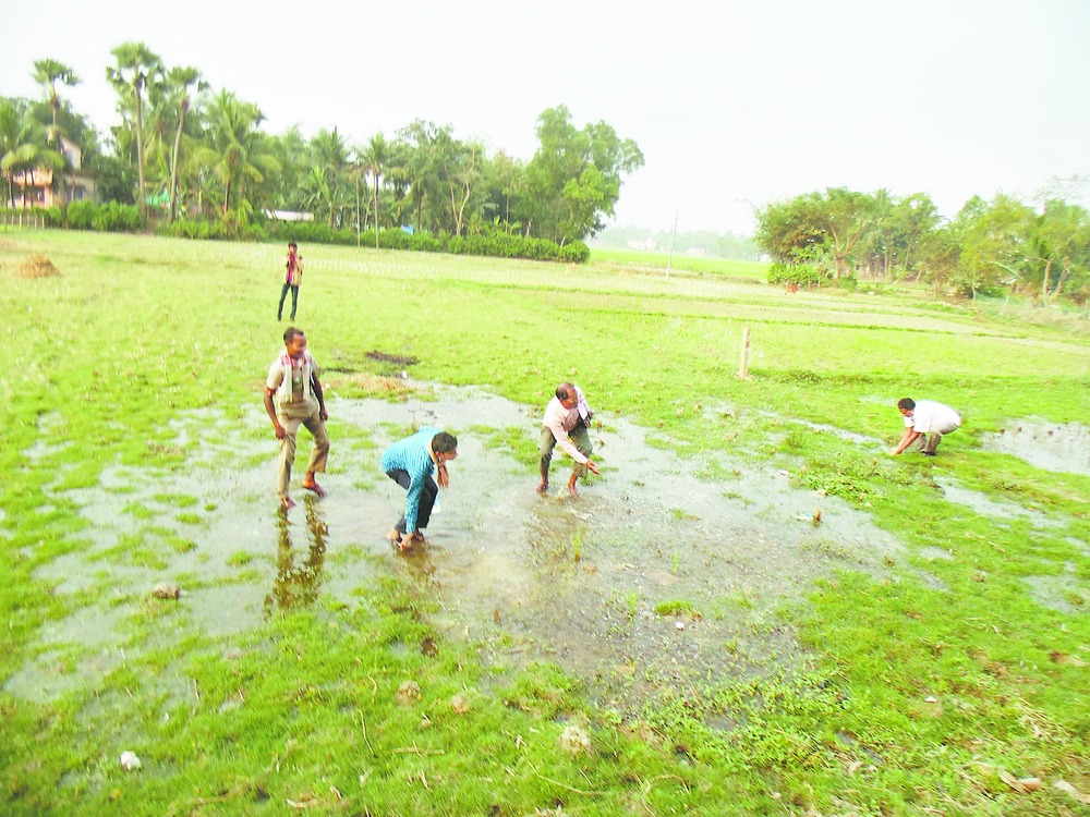Blueprint to tackle waterlogging - Telegraph India