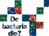 Do bacteria die? - Telegraph India