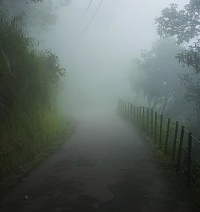 Seeing through the mist - Telegraph India