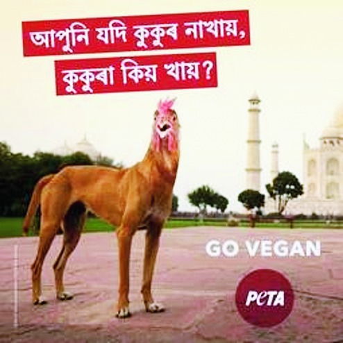 Peta launches 'go vegan' campaign - Telegraph India