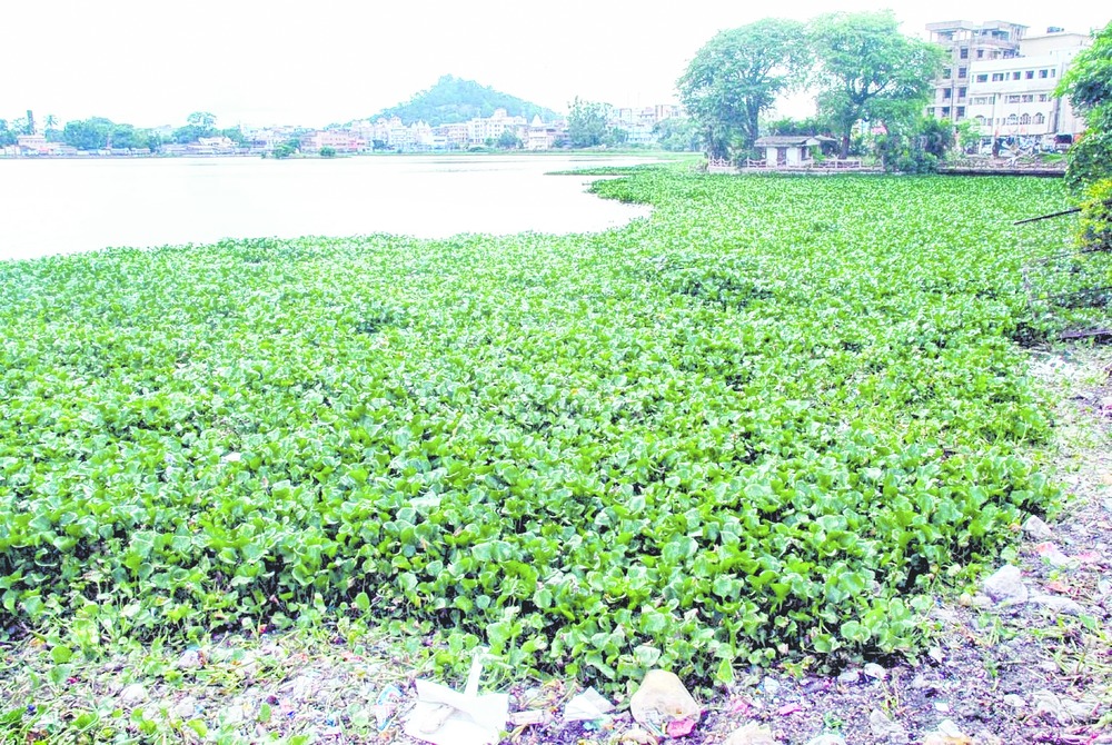 Bada Talab clean-up today - Telegraph India