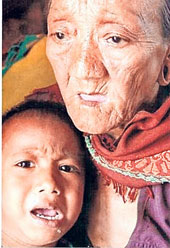 WILD CATS OF MASAI MARA - Telegraph India