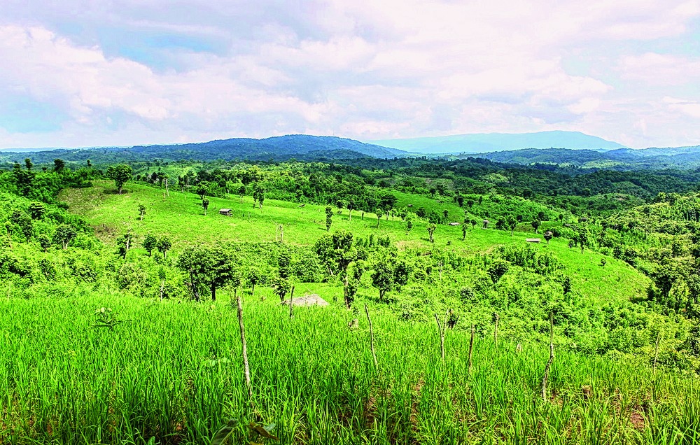 Garo hills grapples with its jhum conundrum - Telegraph India