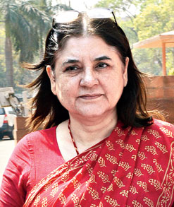 Entering bedrooms with grace: Maneka - Telegraph India