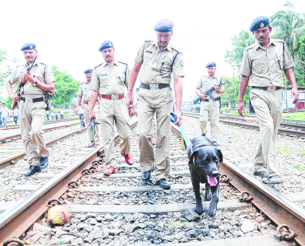 Ten pups for cop dog squad - Telegraph India