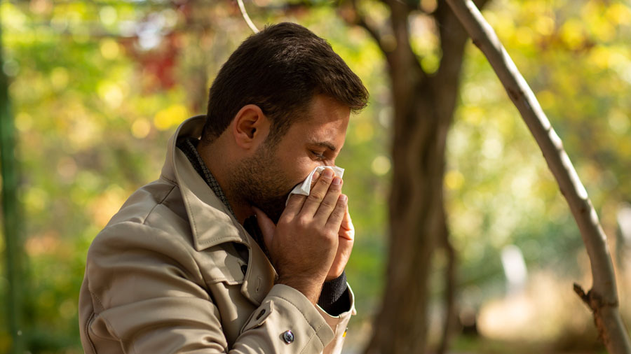 Health Snotty Facts Mucus Can Be Both A Boon And A Bane Telegraph 