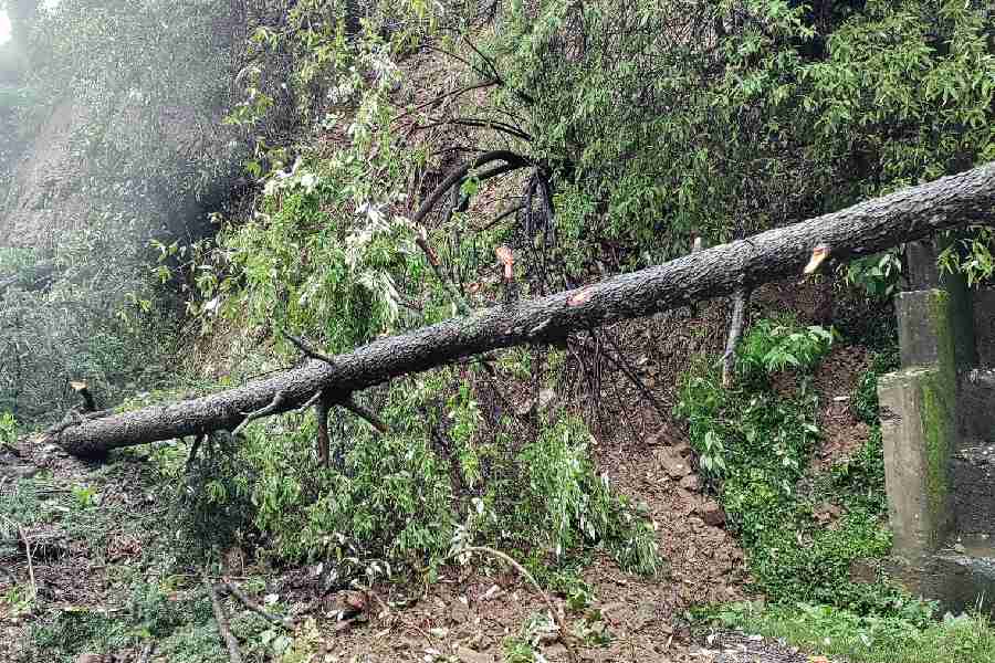 natural disaster | Rains wreak havoc in Himachal Pradesh, 35 killed in landslides and cloudburst ...