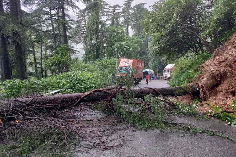 natural disaster | Rains wreak havoc in Himachal Pradesh, 35 killed in landslides and cloudburst ...