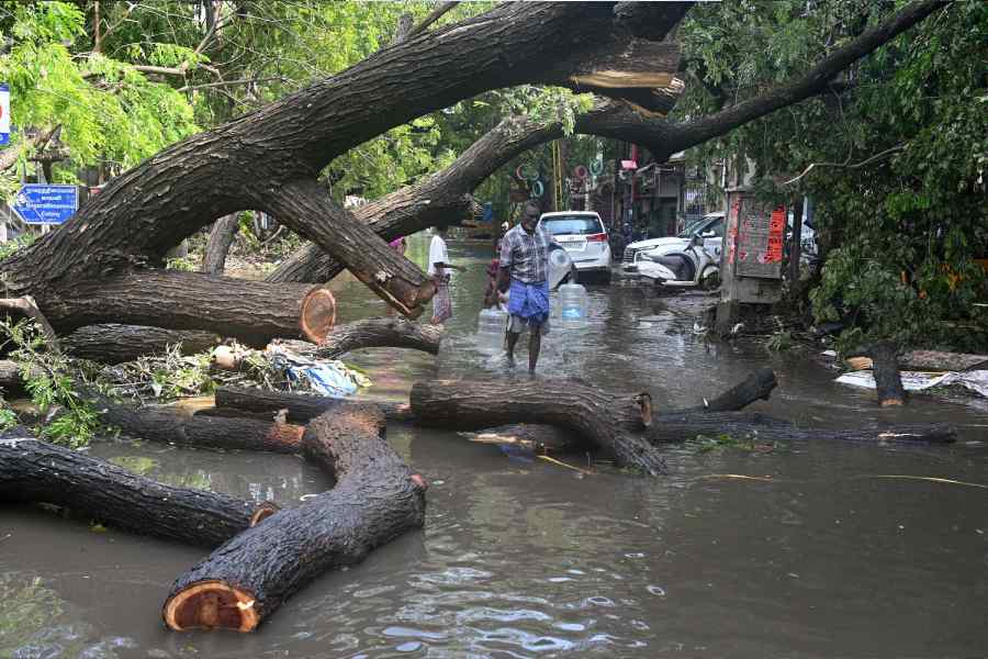 Andhra Pradesh | In pictures: Cyclone Michaung causes widespread damage in Andhra Pradesh and ...