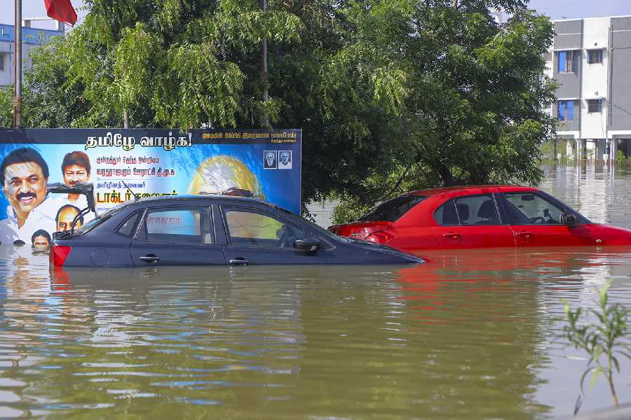 Andhra Pradesh | In pictures: Cyclone Michaung causes widespread damage in Andhra Pradesh and ...