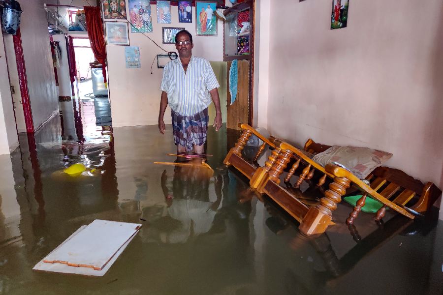 Andhra Pradesh | In pictures: Cyclone Michaung causes widespread damage in Andhra Pradesh and ...