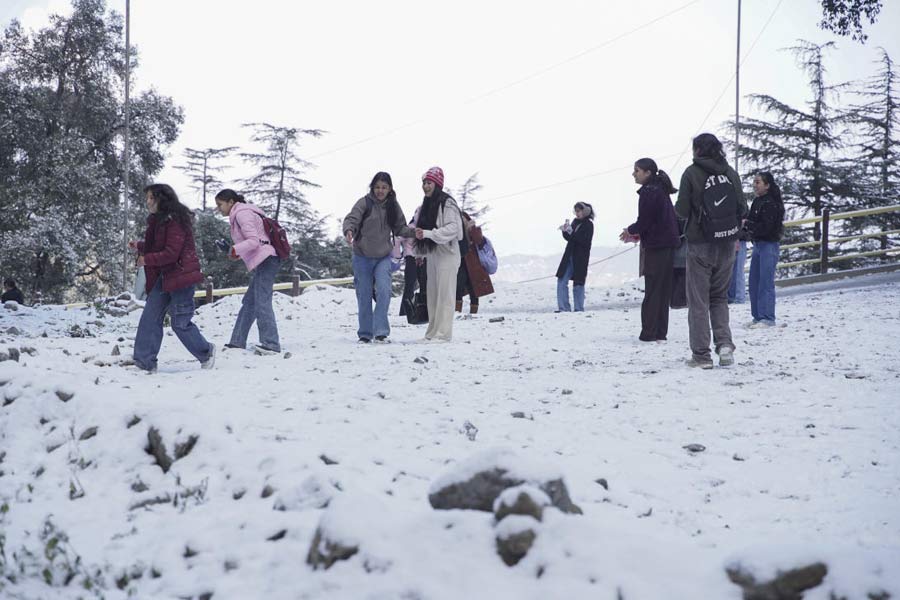 Himachal Pradesh snowfall | Himachal Pradesh receives season's first snowfall, 87 roads closed ...