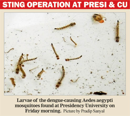 Merissa Marr's Instagram, Twitter & Facebook on IDCrawl