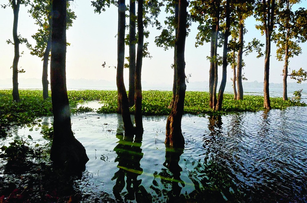 Rukka Dam dampens picnic spirit - Telegraph India