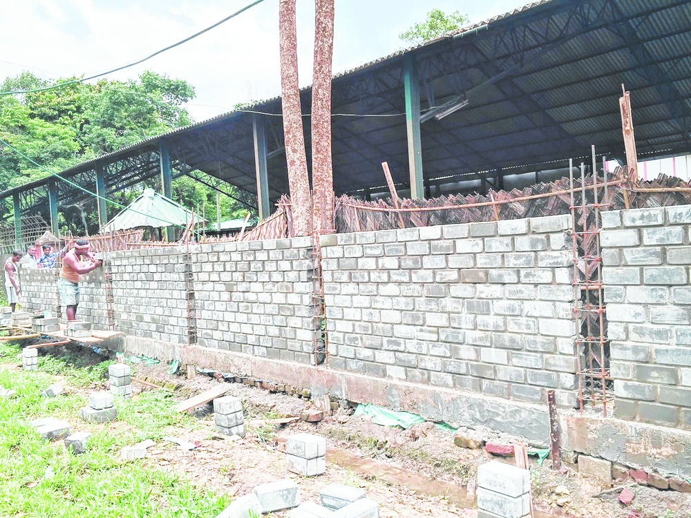 Winner brick recipe from Jorhat institute - Telegraph India